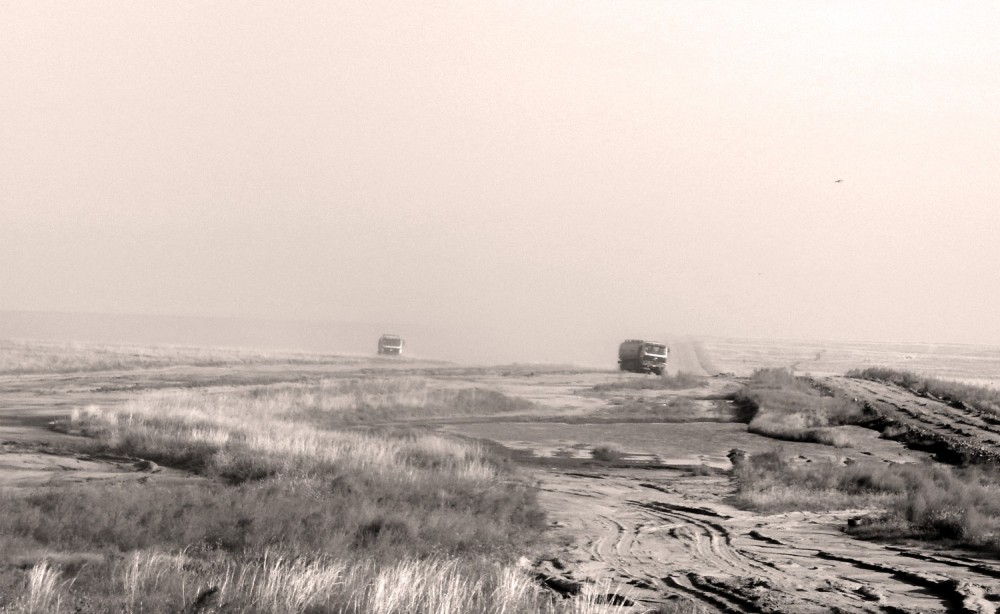 Мэнэнгийн талыг Монголчуудтай нь зэрэмдэглэсэн хар алтны мөрөөр