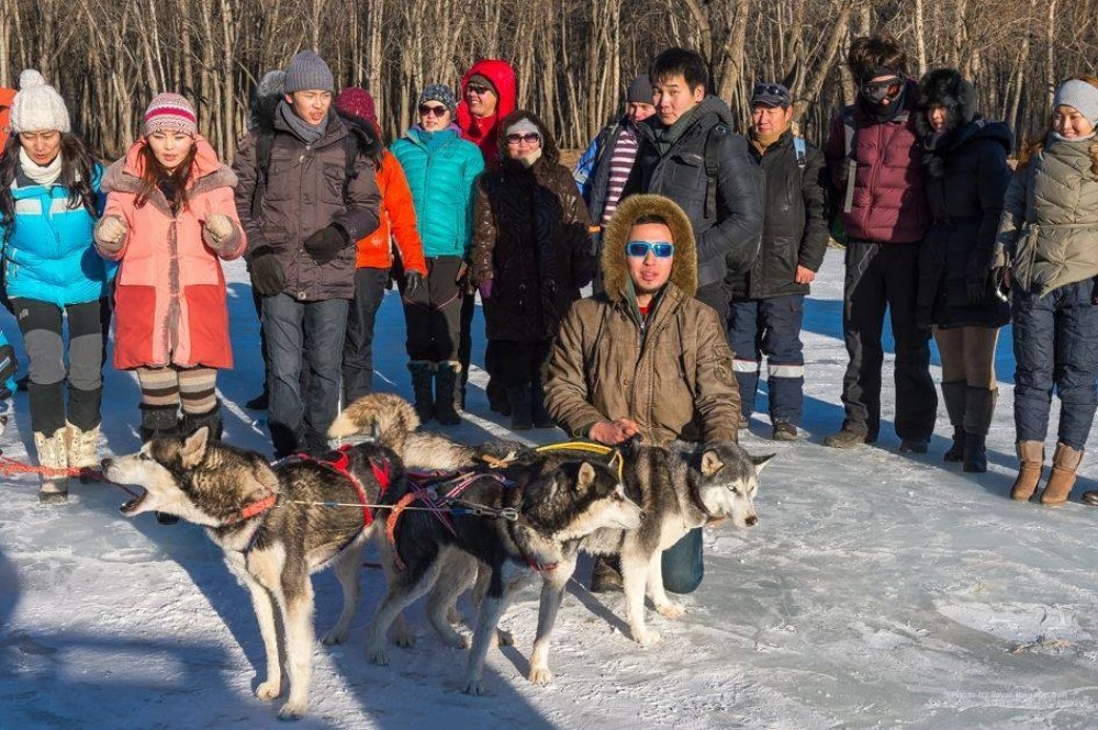 TRY DOG SLEDDING - IT'S AWESOME WINTER FUN!