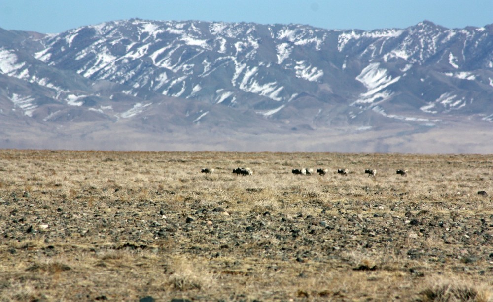 Altai soum of Gobi-Altai aimag is not connected to electricity