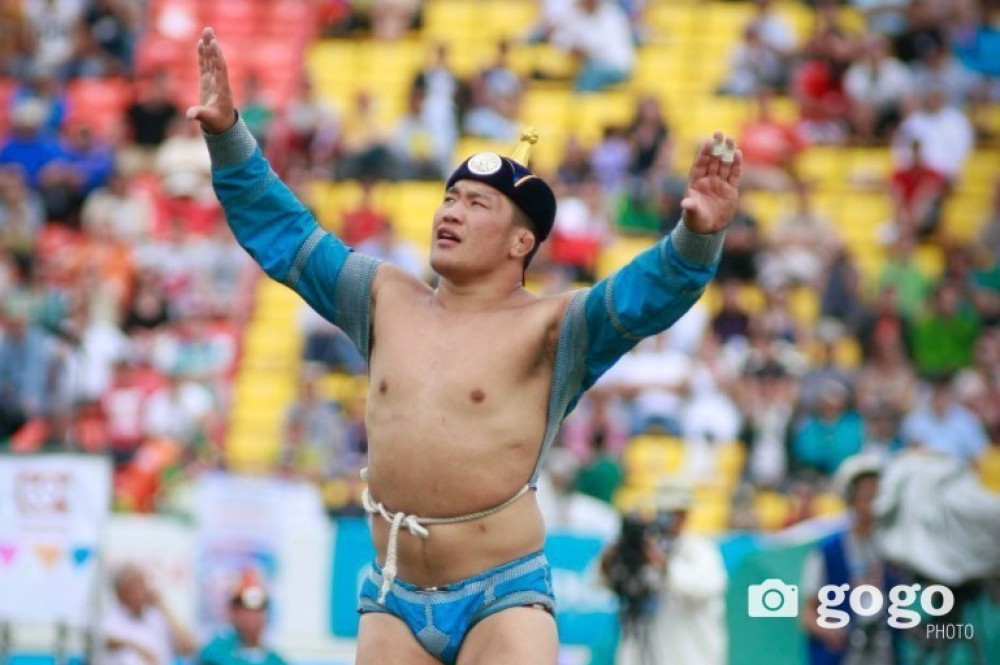 Улсын заан Б Пүрэвсайхан унаж О Хангай давлаа