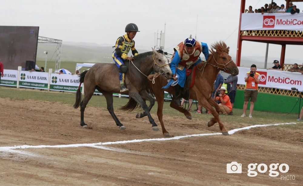 Архангай аймгийн Их тамир сумын уяач Даваасамбуугийн Жаргалсайханы бор үрээ түрүүллээ