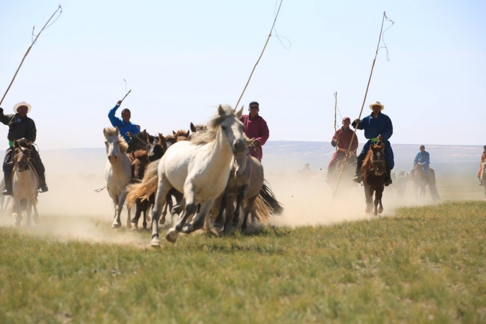 “Адуу уургалах соёлоо авч үлдэх хэрэгтэй”