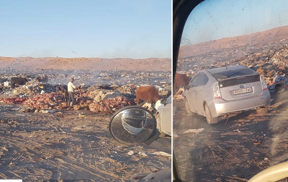 Хогийн цэгээс малын гүзээ түүн нийслэл рүү тээвэрлэж байжээ