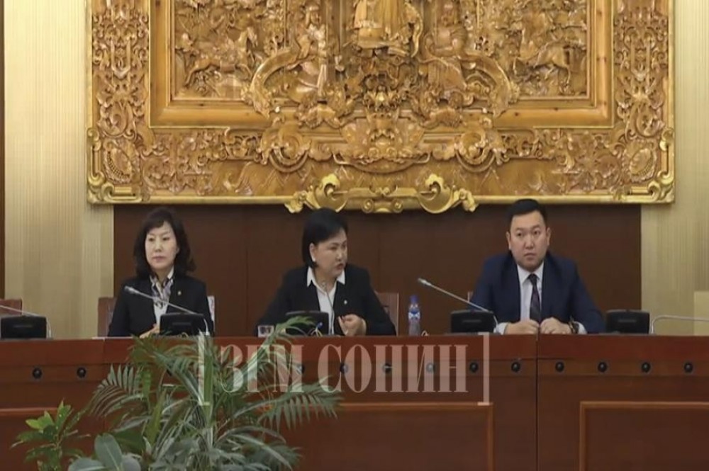 Д Оюунхорол Итгэлийн зээлийн хуулийг сонгуульд нөлөөлнө гээд хойшлуулсан