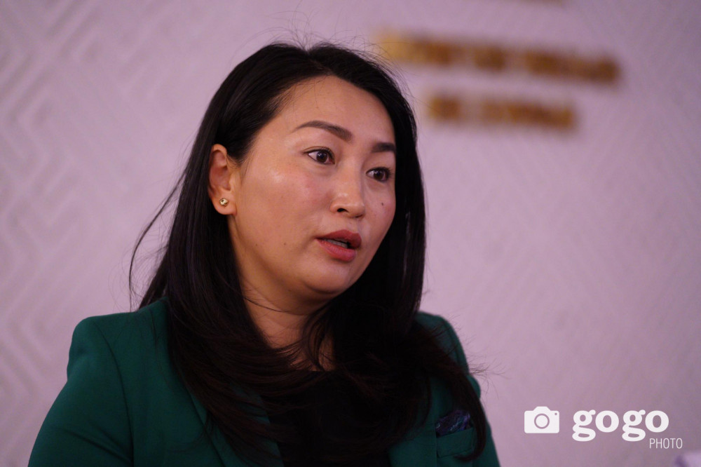 Хөрөнгө оруулалтын хуулийг баталснаар гадаадын иргэд хэдэн саяар орж ирнэ гэж ойлгож болохгүй