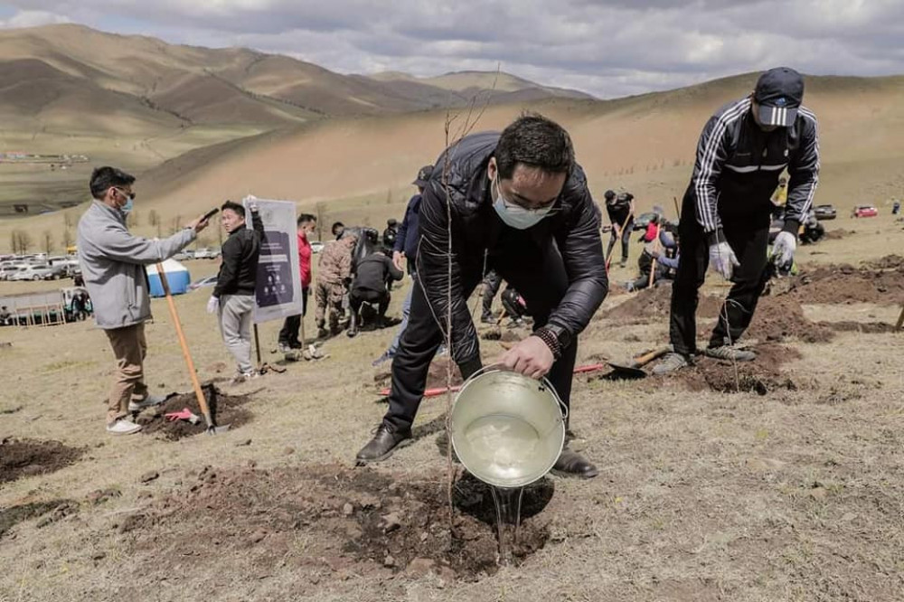 БЗД т 200 мянган мод бут тарьж дөрвөн байршилд төгөл бий болгожээ