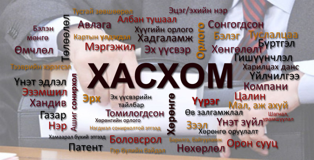 Улсын хэмжээнд ХАСХОМ ийн бүрдүүлэлтийн ажил 65 8 хувьтай байна