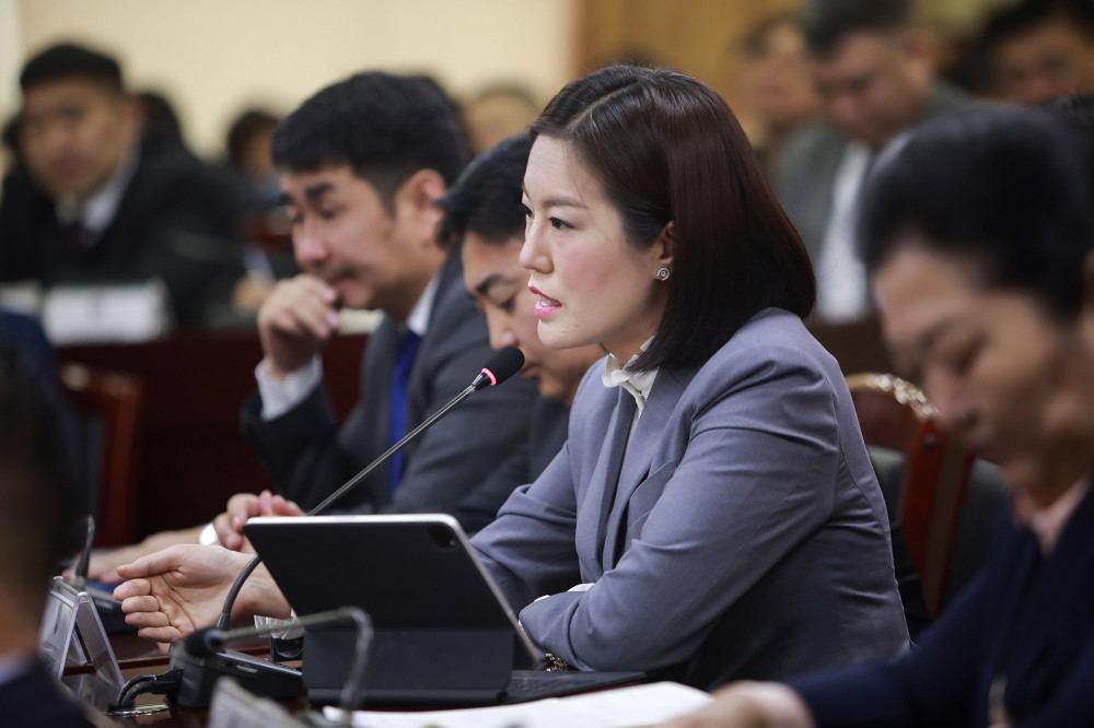 Kfc Үндэсний цэцэрлэгт хүрээлэнд нэг ч хөшөө босгохгүй зөвхөн тохижуулна