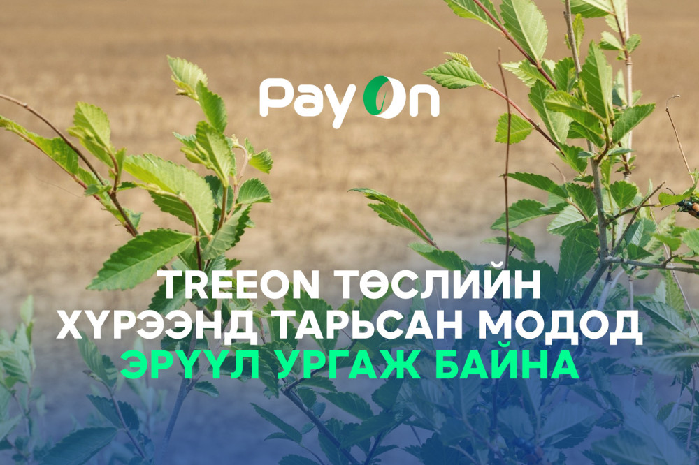 TreeOn төслийн хүрээнд тарьсан 300 гаруй мод эрүүл ургаж байна