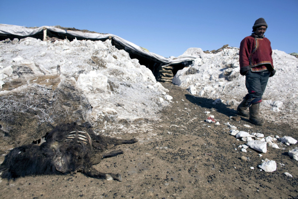Гамшиг аюулт үзэгдлийн улмаас 2001 2022 онд Монгол Улсын эдийн засагт ₮802 9 тэрбумын хохирол