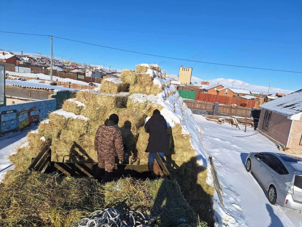 Өвөлжилт хүндэрсэн зургаан аймагт 70 гаруй цэргийн алба хаагч ажиллаж байна