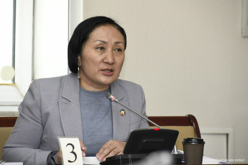 Уул уурхай байгаль орчны чиглэлээр ажилладаг хүний эрх хамгаалагчдын эрхийг илүү зөрчдөг