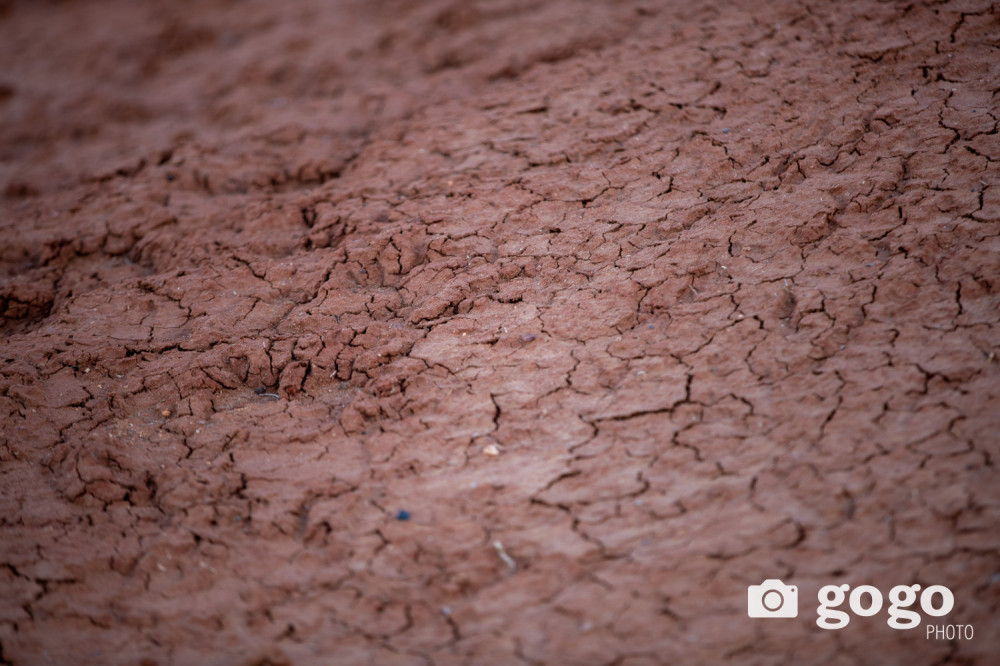 Газрын доройтлын асуудалд Саудын Арабтай хамтарна