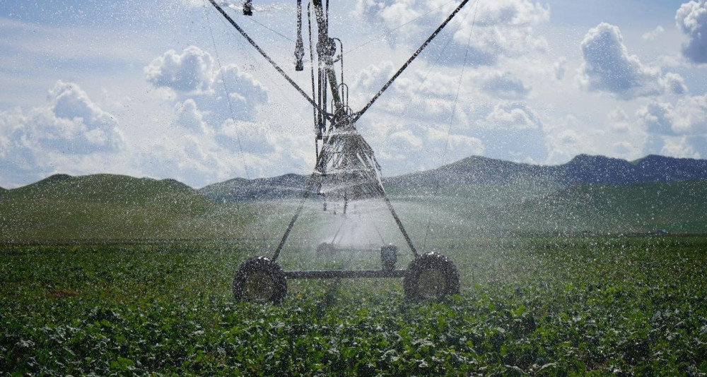 Irrigation systems to be built on 7,000 hectares of 8 provinces